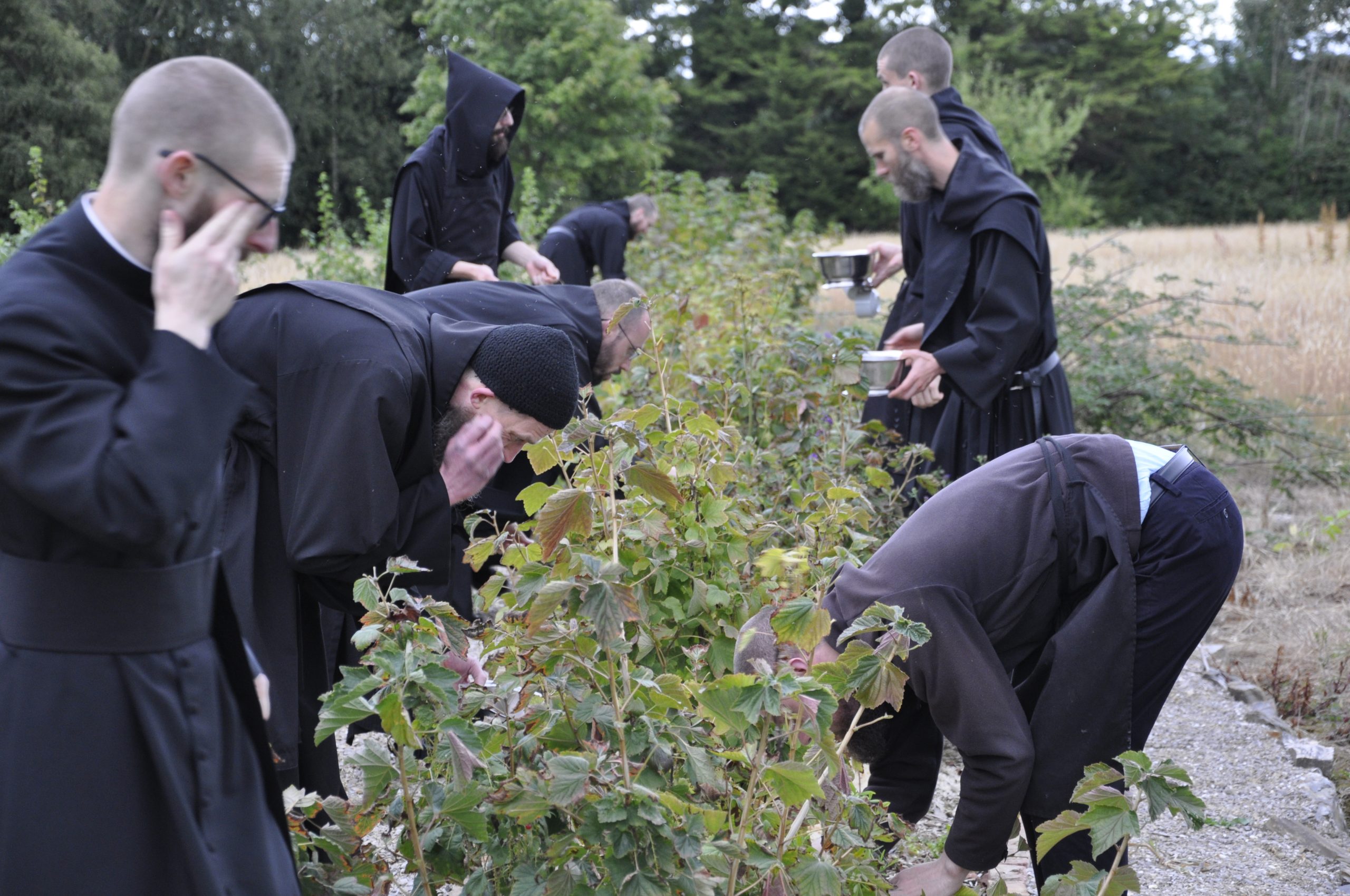 Our Lady of the Cenacle Monastery – Silverstream Priory